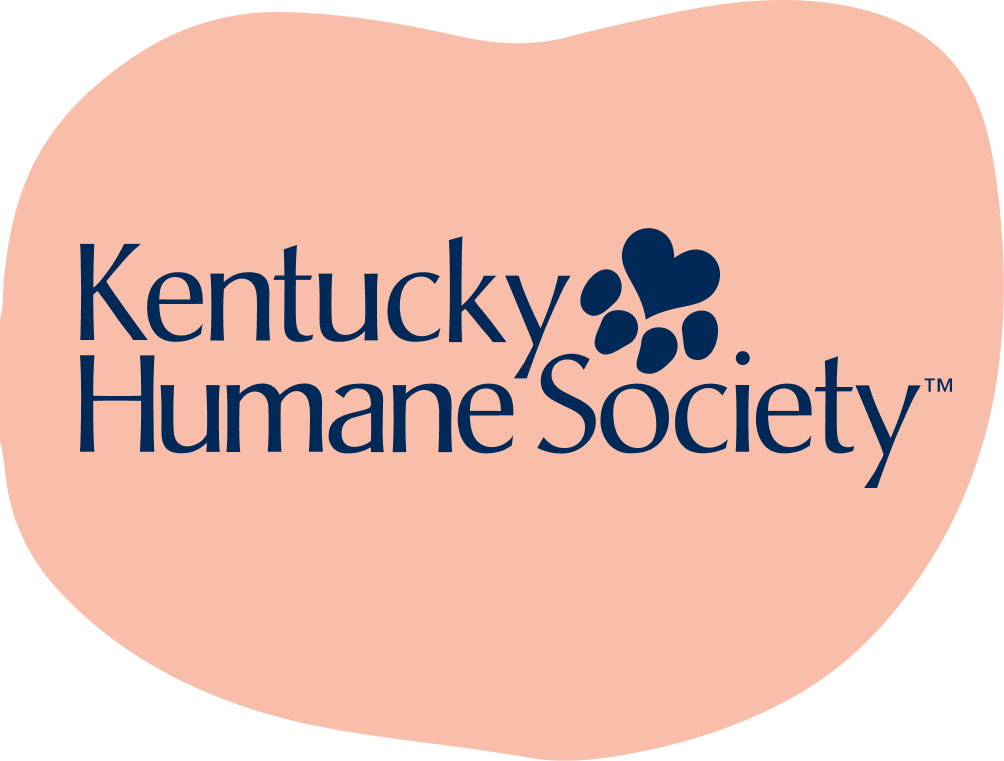 Chewy Shelters and Rescues Network